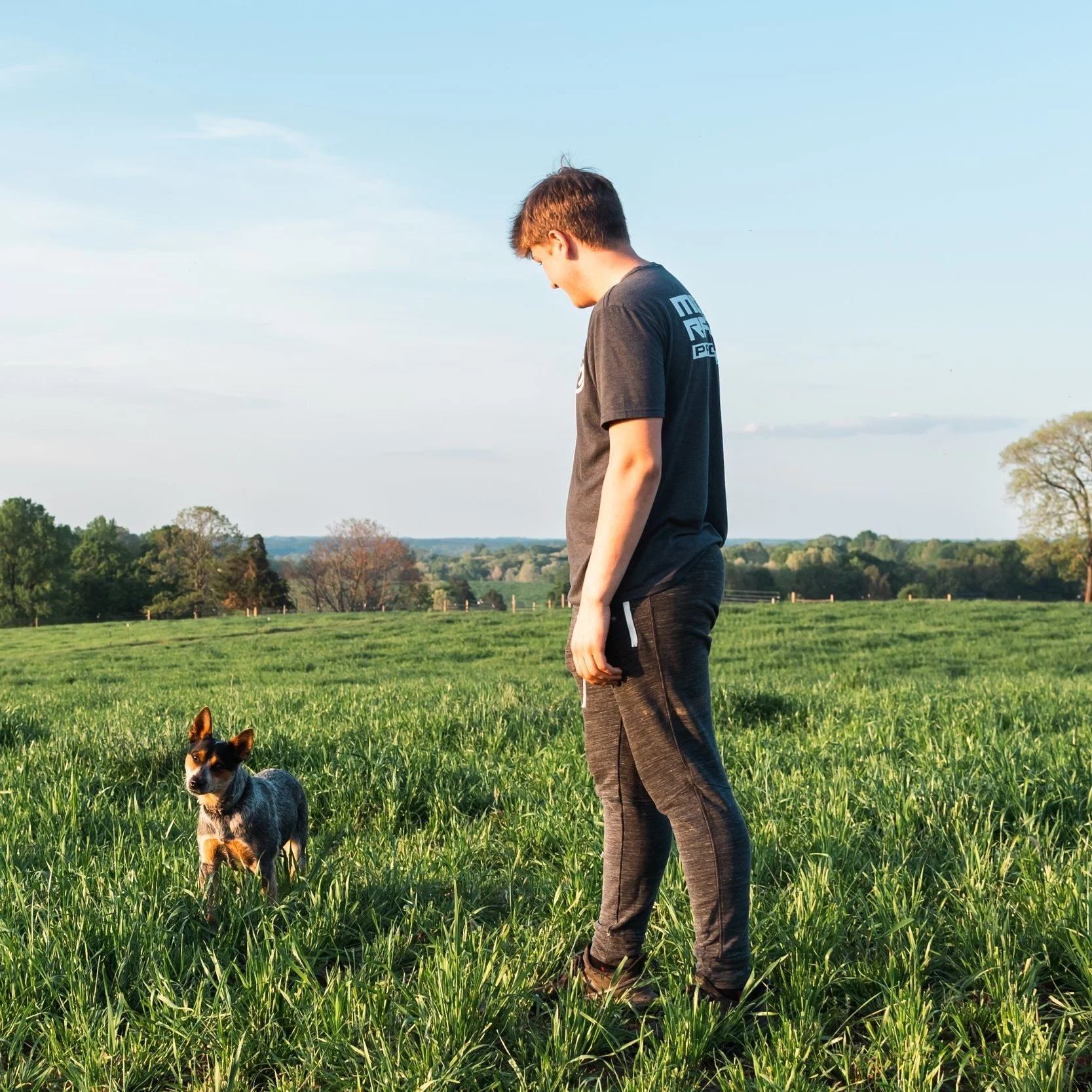 Iron Pin Ranch | Ranch Raised Beef | Madison County, Georgia