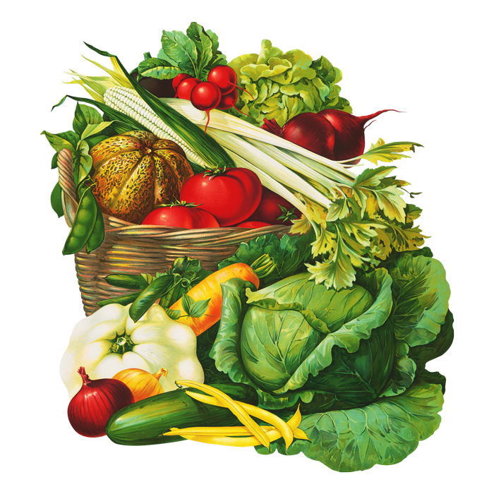 Cafe Menu — Fiddleheads Cafe