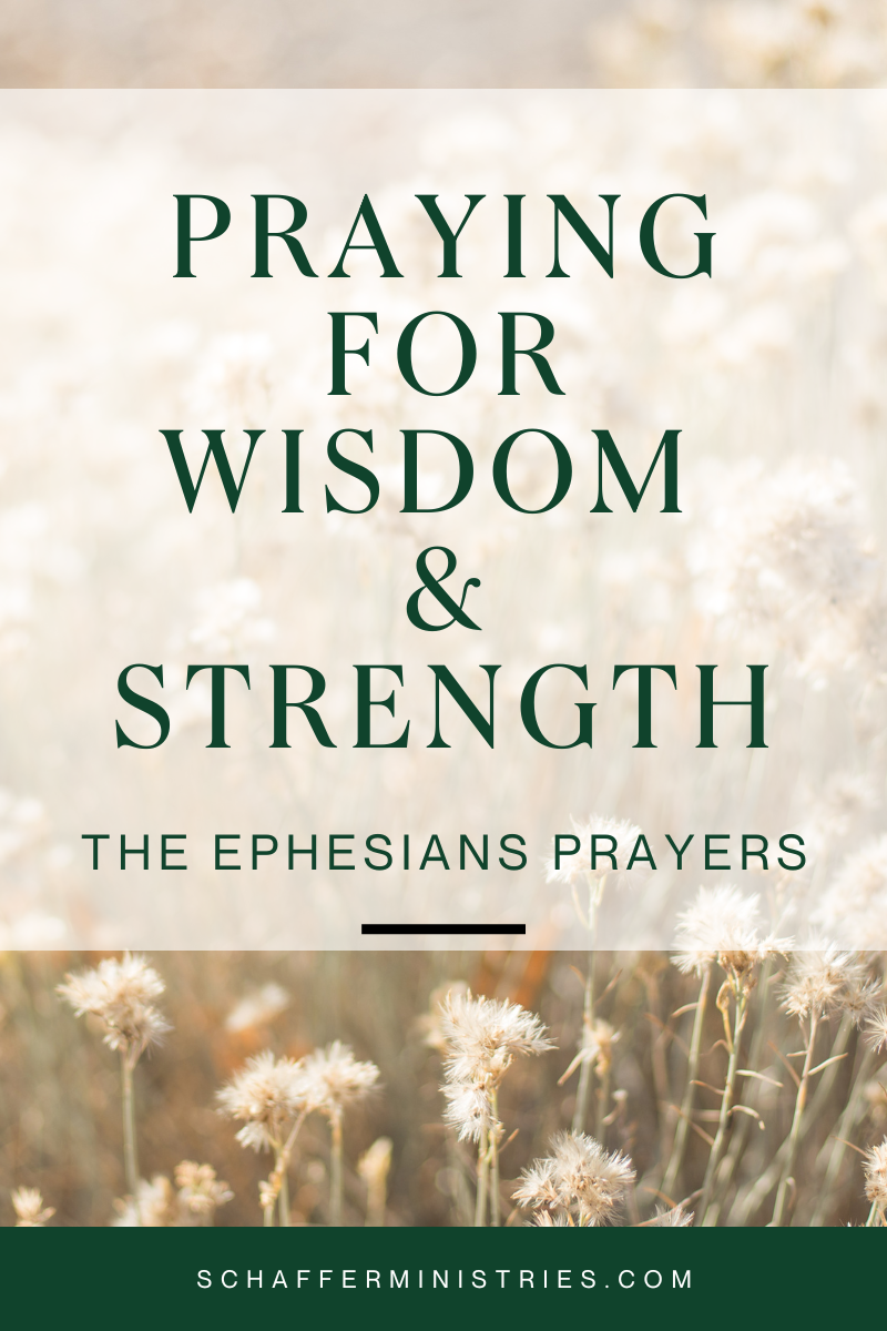 Praying For Wisdom and Strength — Schaffer Ministries