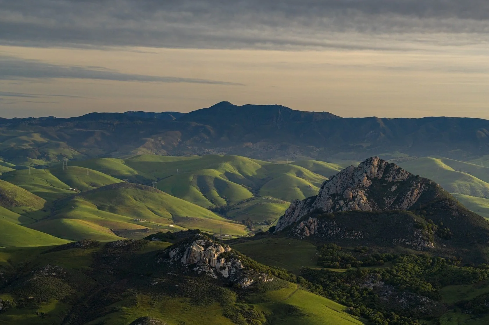 Tori Head — Psychobabble Therapy