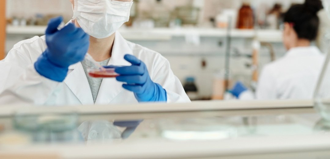 Global Public Relations, Influencer Marketing & Social Media Agency