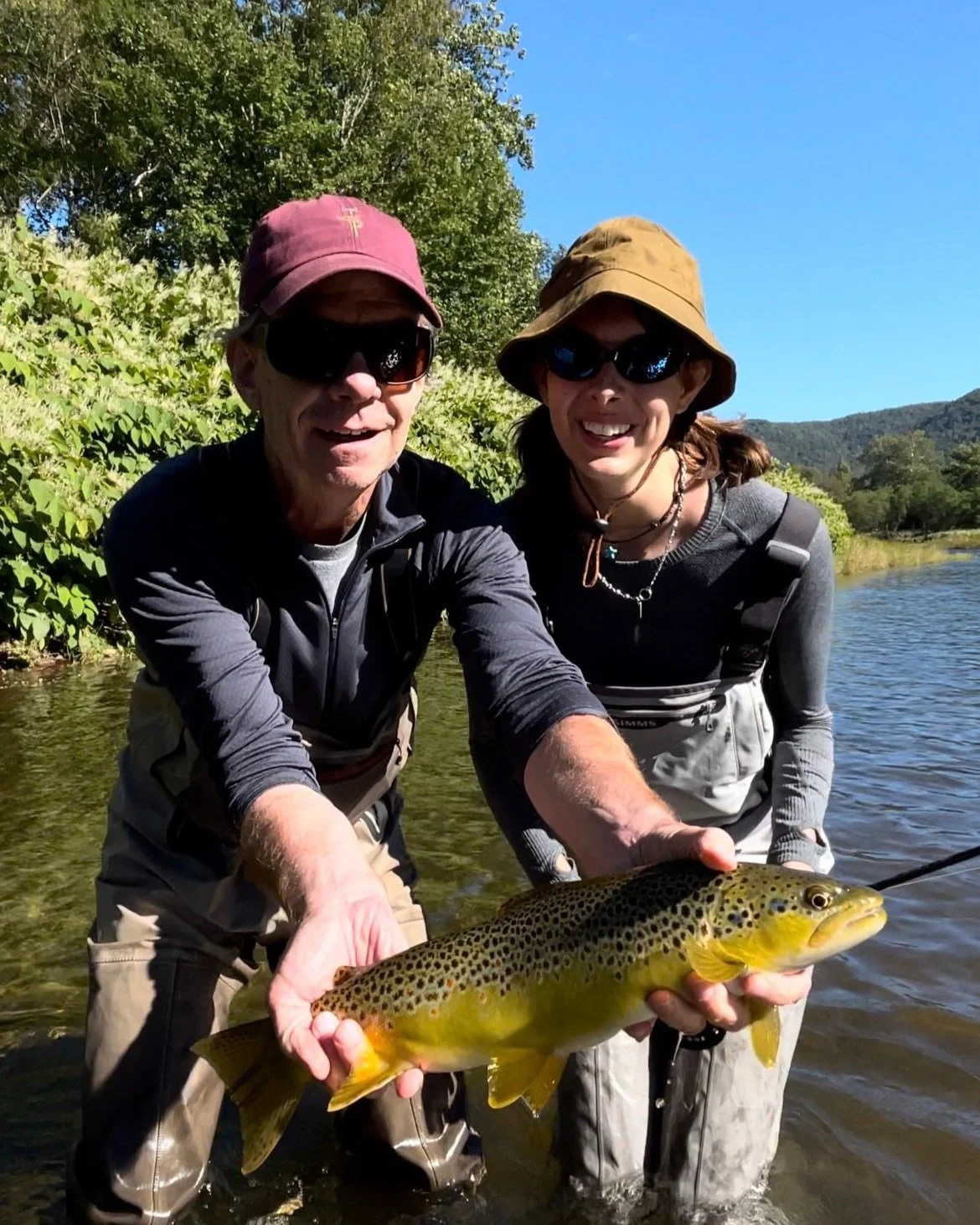 CATSKILLS ON THE FLY