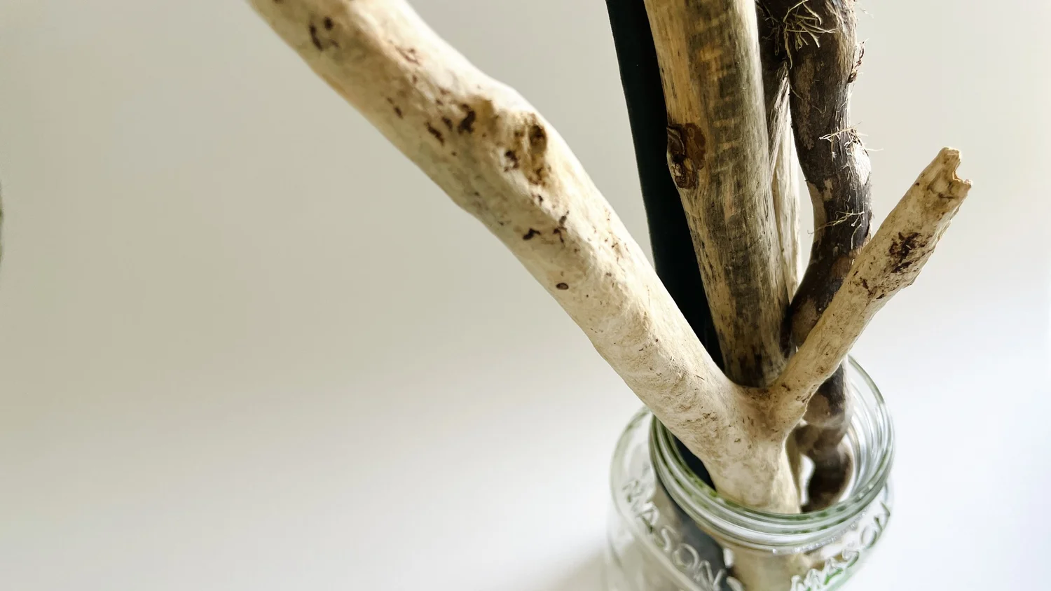 Artist Statement — GLORIA GELO