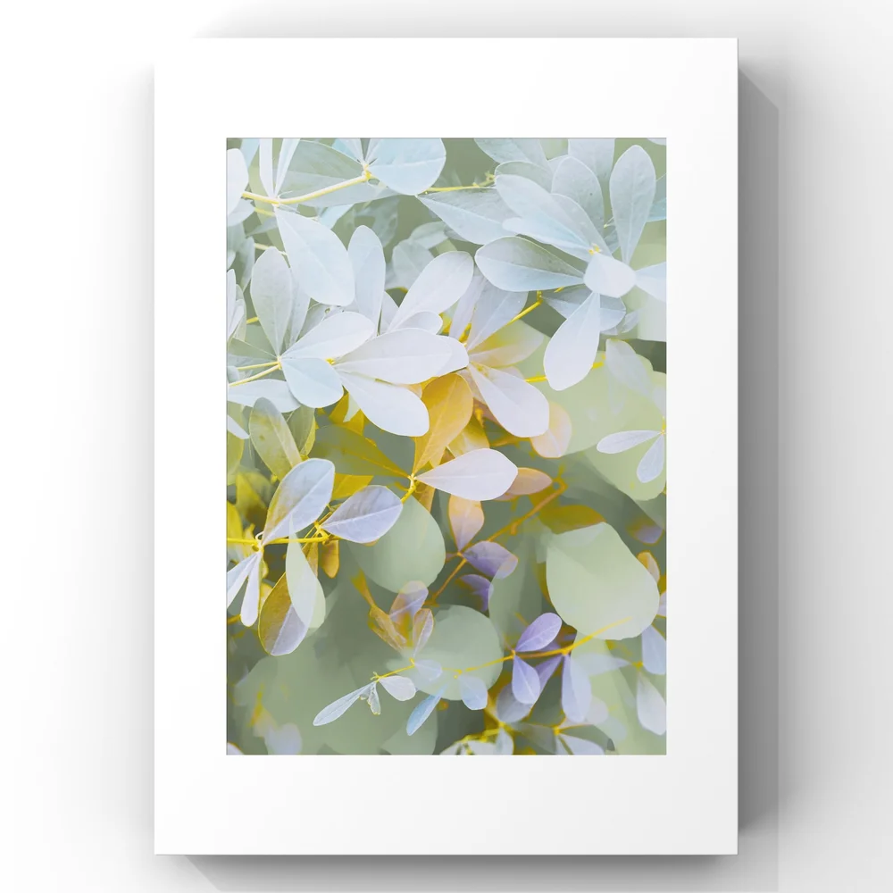 Digital — GLORIA GELO