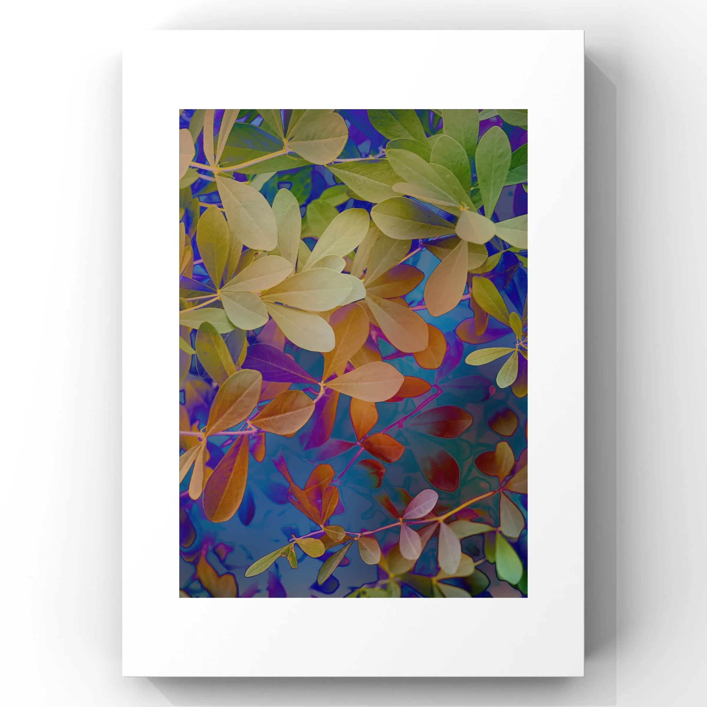 Digital — GLORIA GELO