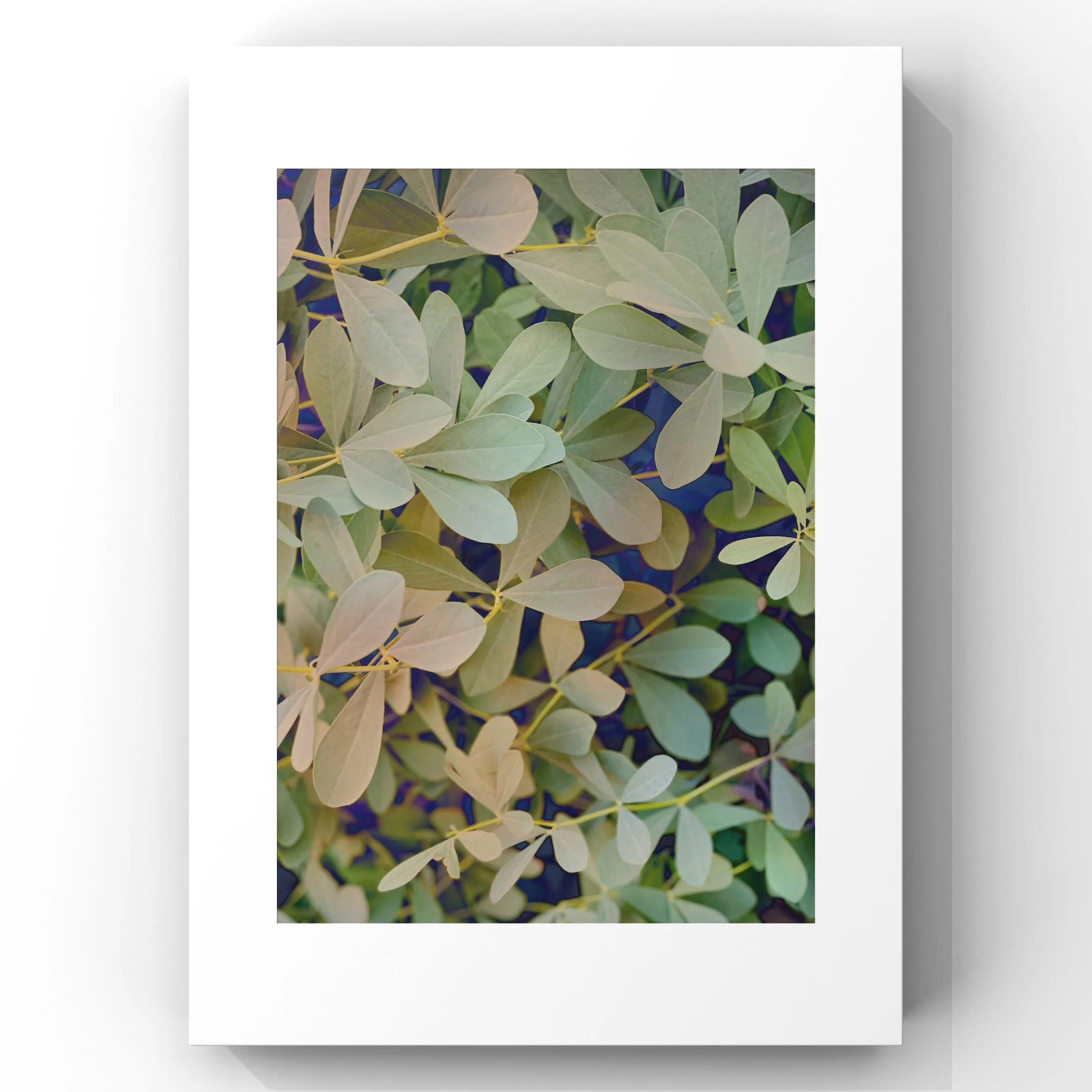 Digital — GLORIA GELO