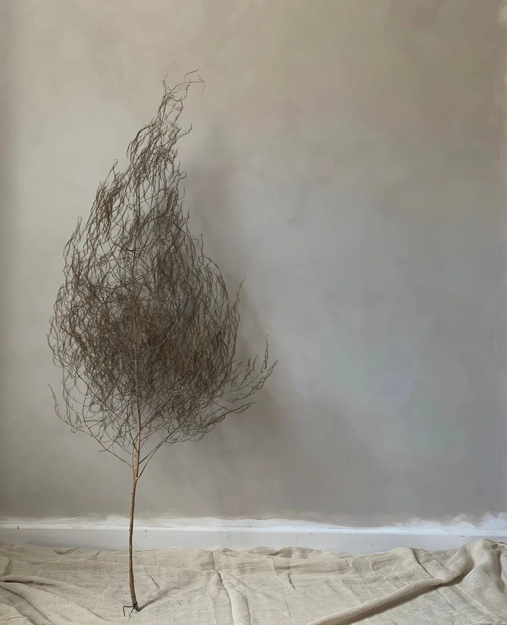 Decorative Wall Painting & Finishing Installation Services in LA & NY ...