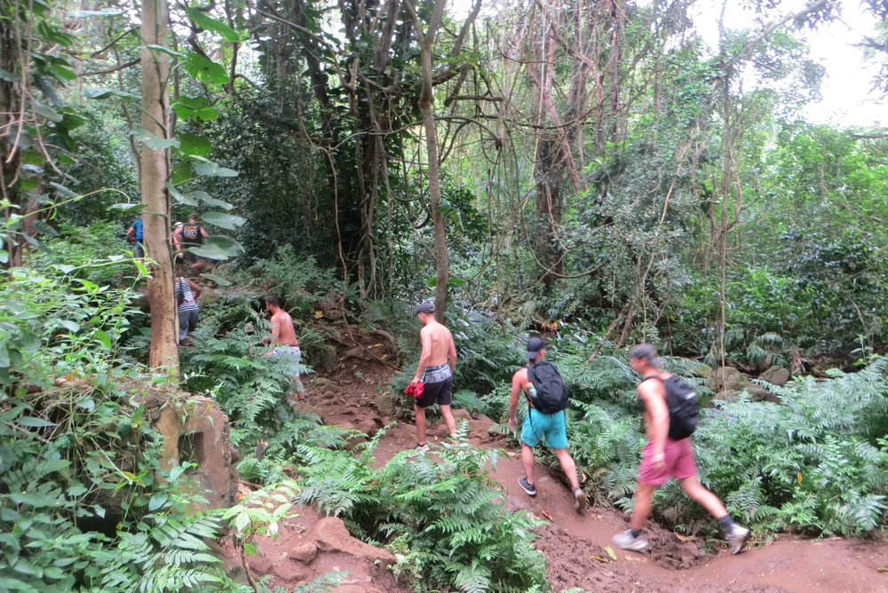 Maunawili Trail Falls Trail Improvement Project — HHF Planners