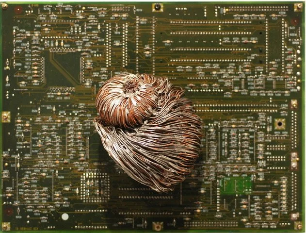 Circuitboard Sculpture — Peter McFarlane