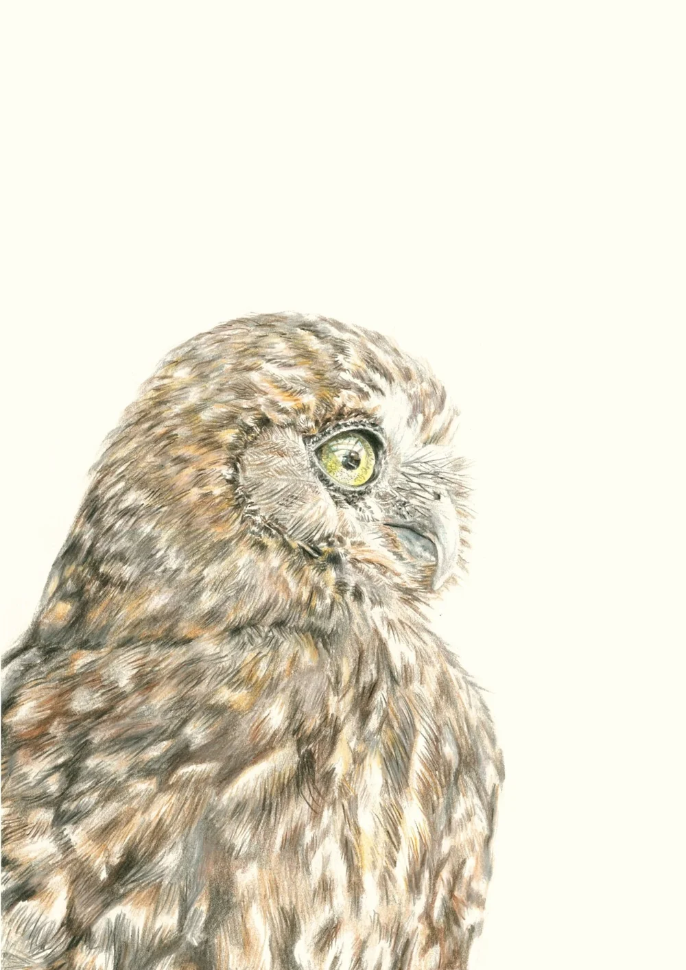 Chloe O'Leary - NZ Artist