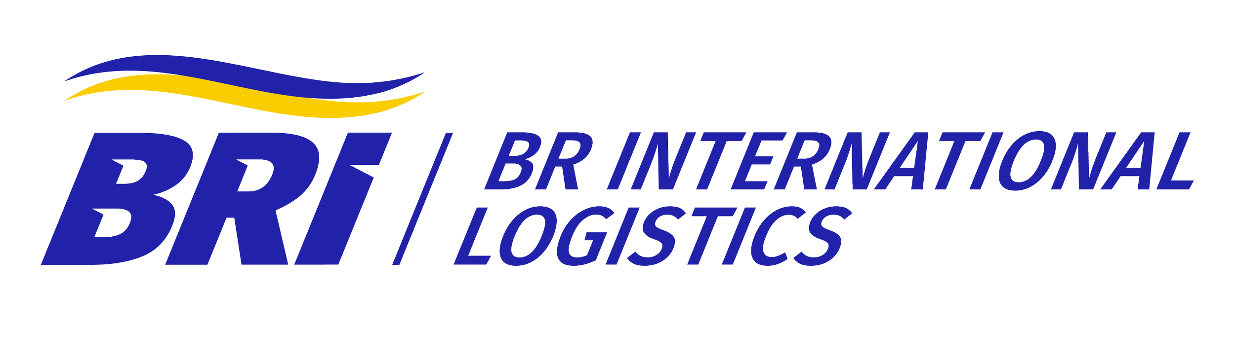 BR International USA