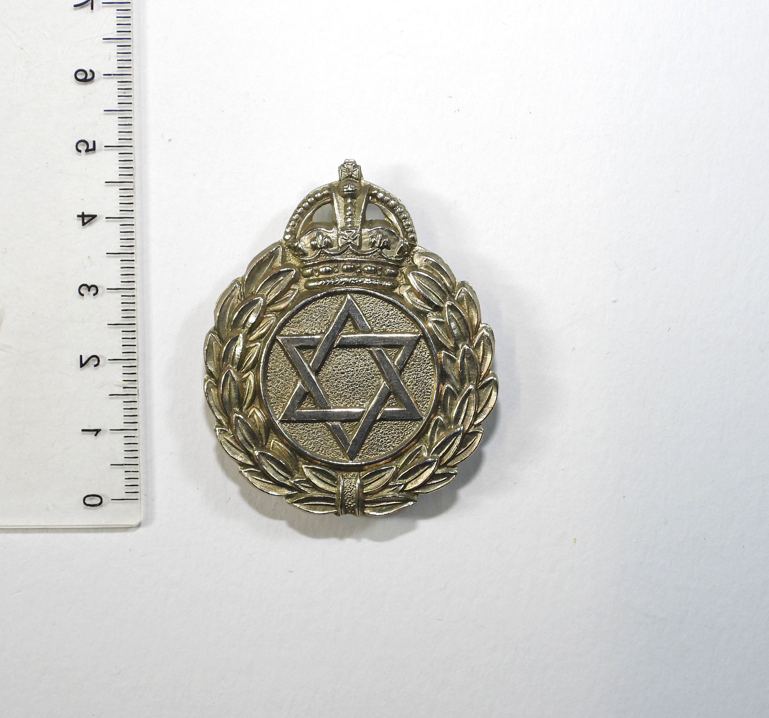 Jewish Infantry Brigade badge WW2. — Outpost9 - Military, Police ...