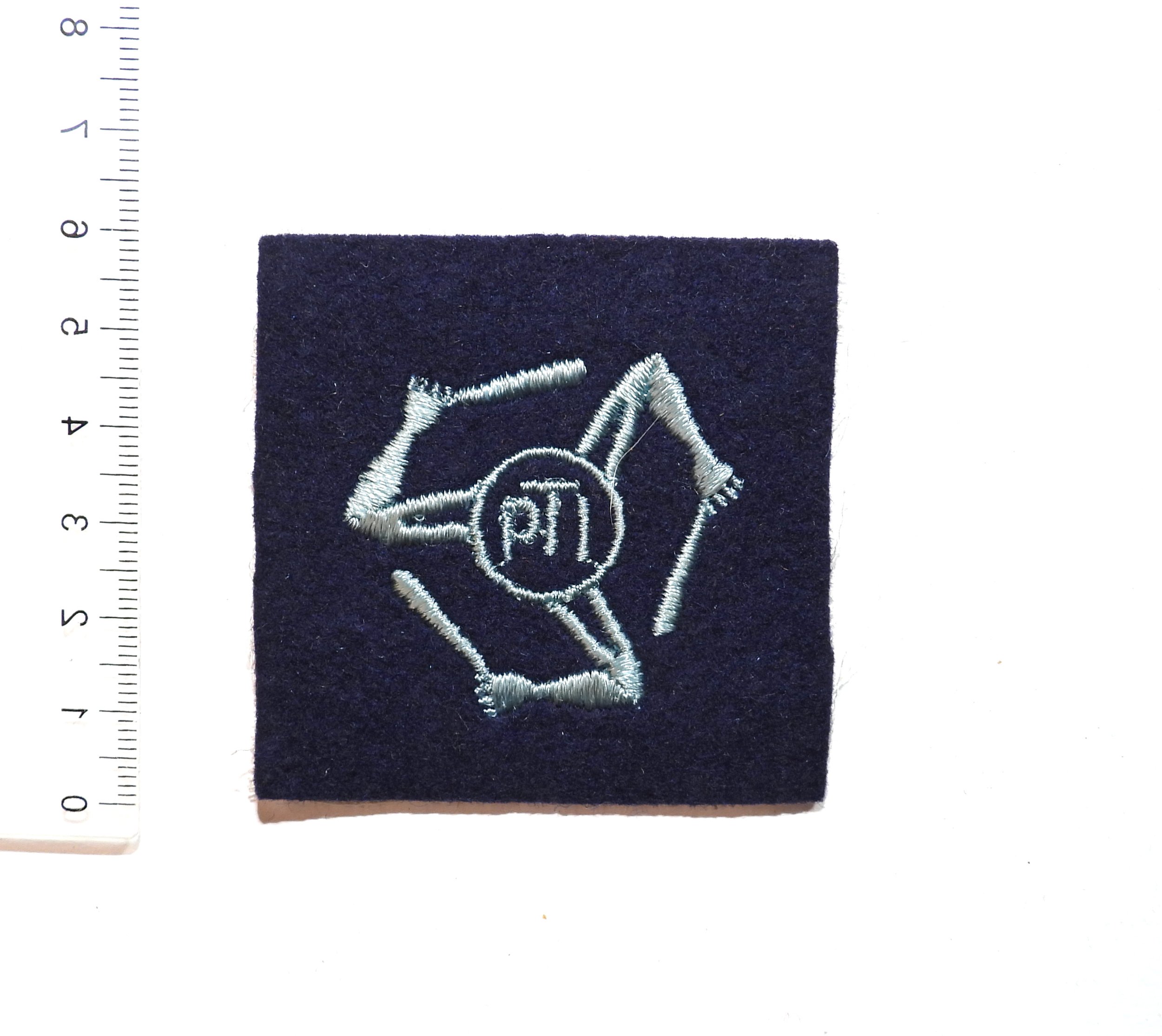 Royal Canadian Air Force WW2 Physical Training Instructor (PTI) Patch ...