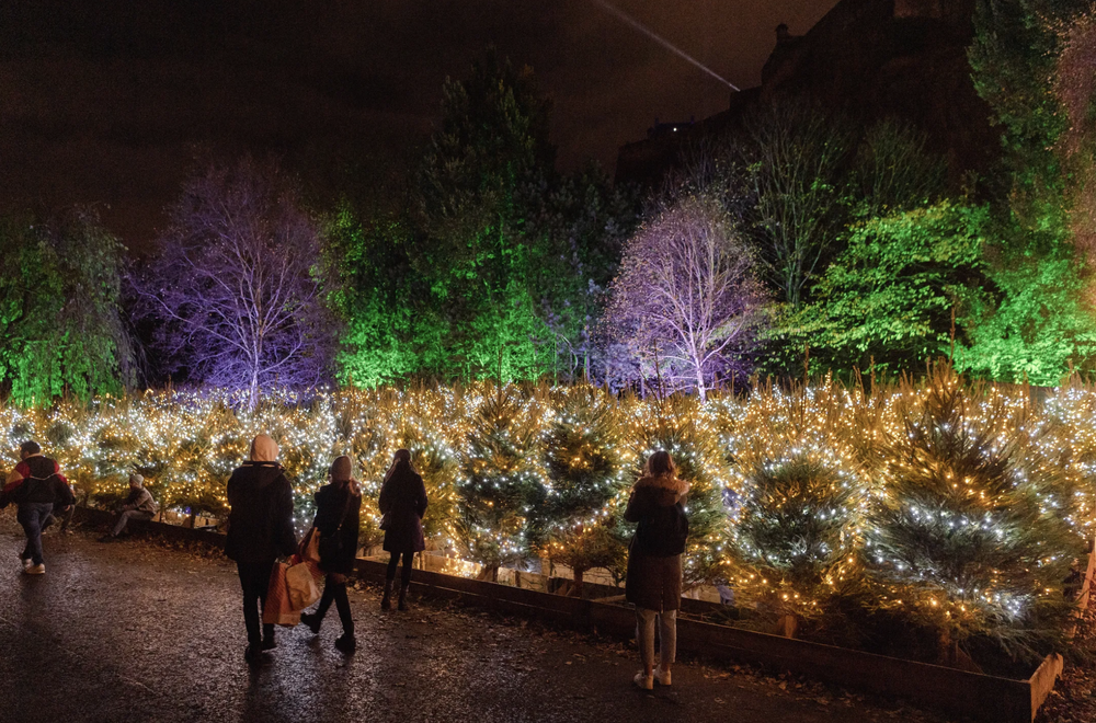 Here's what's coming to Christmas in Cambridge — Christmas in Cambridge
