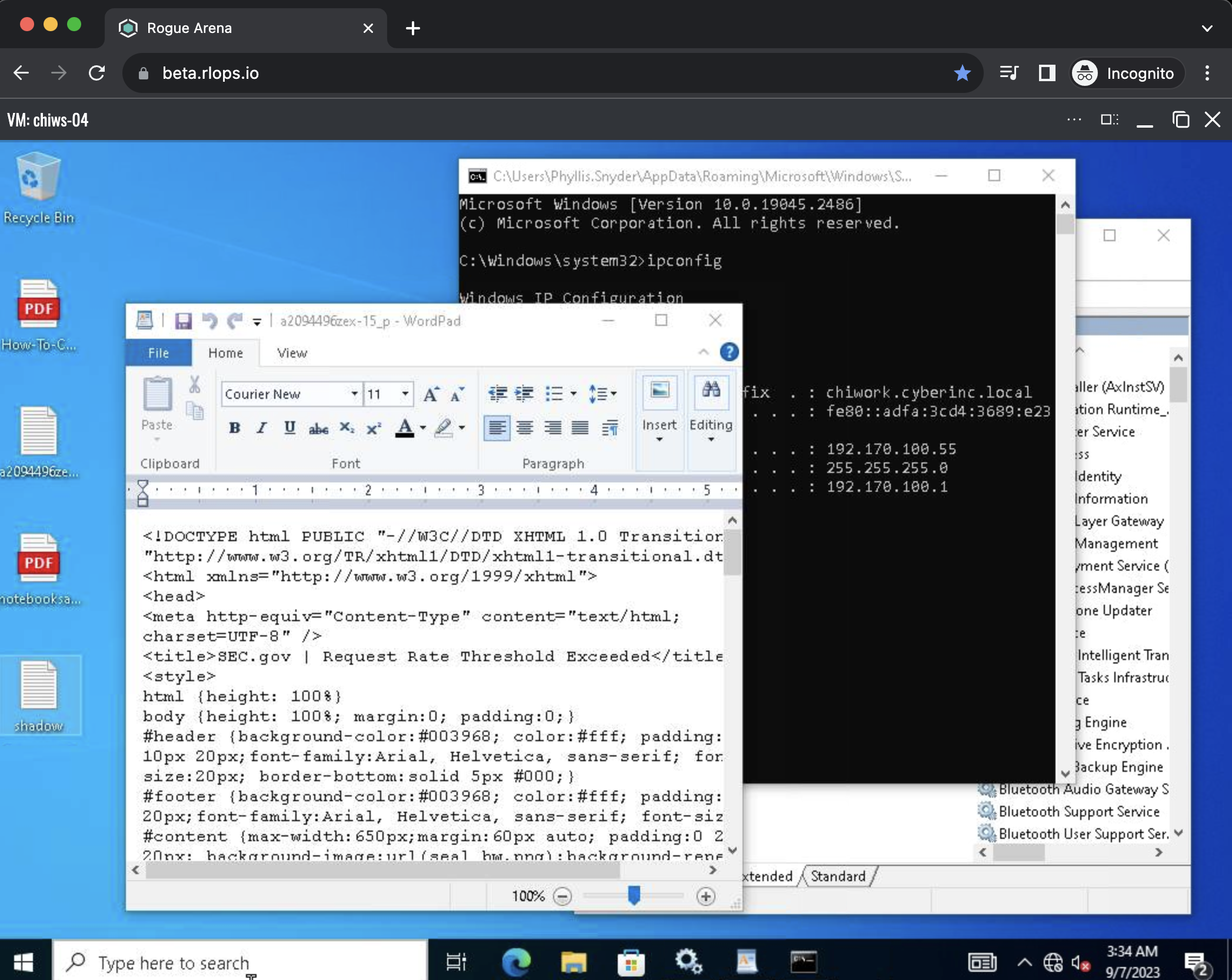 Rogue Arena — Rogue Labs