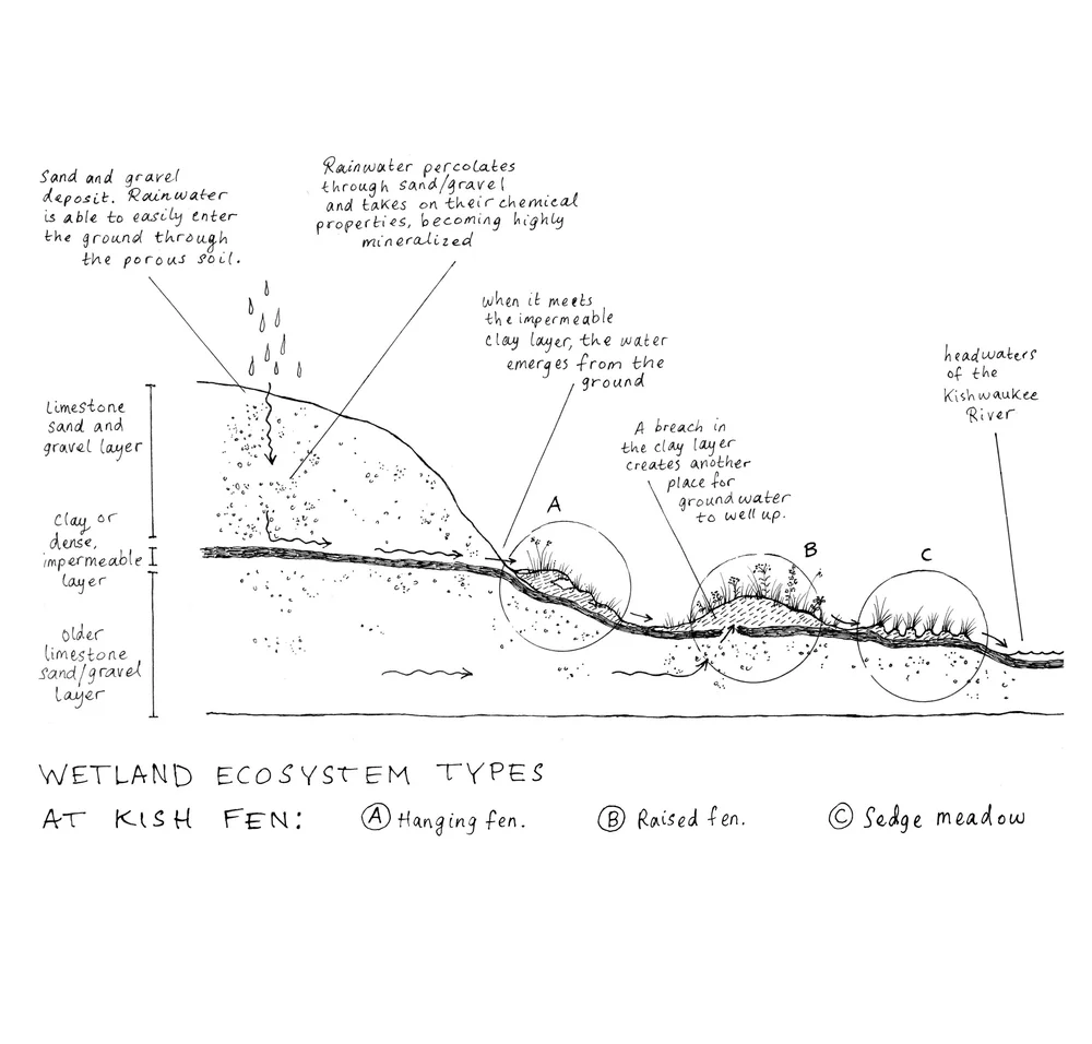 What is a fen? — Friends of Kishwaukee Fen