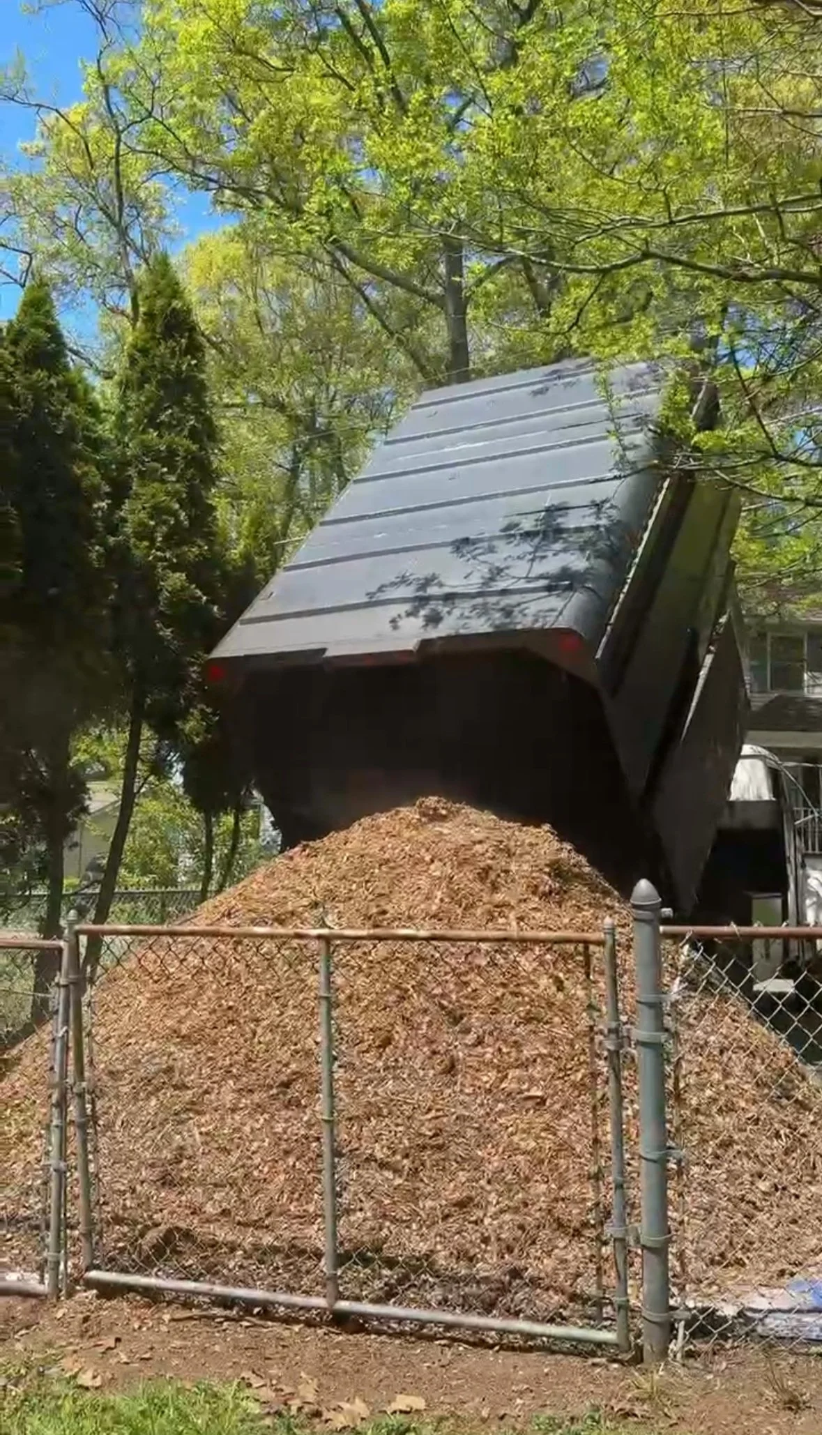 Free Lawn Care — Healing Your Home