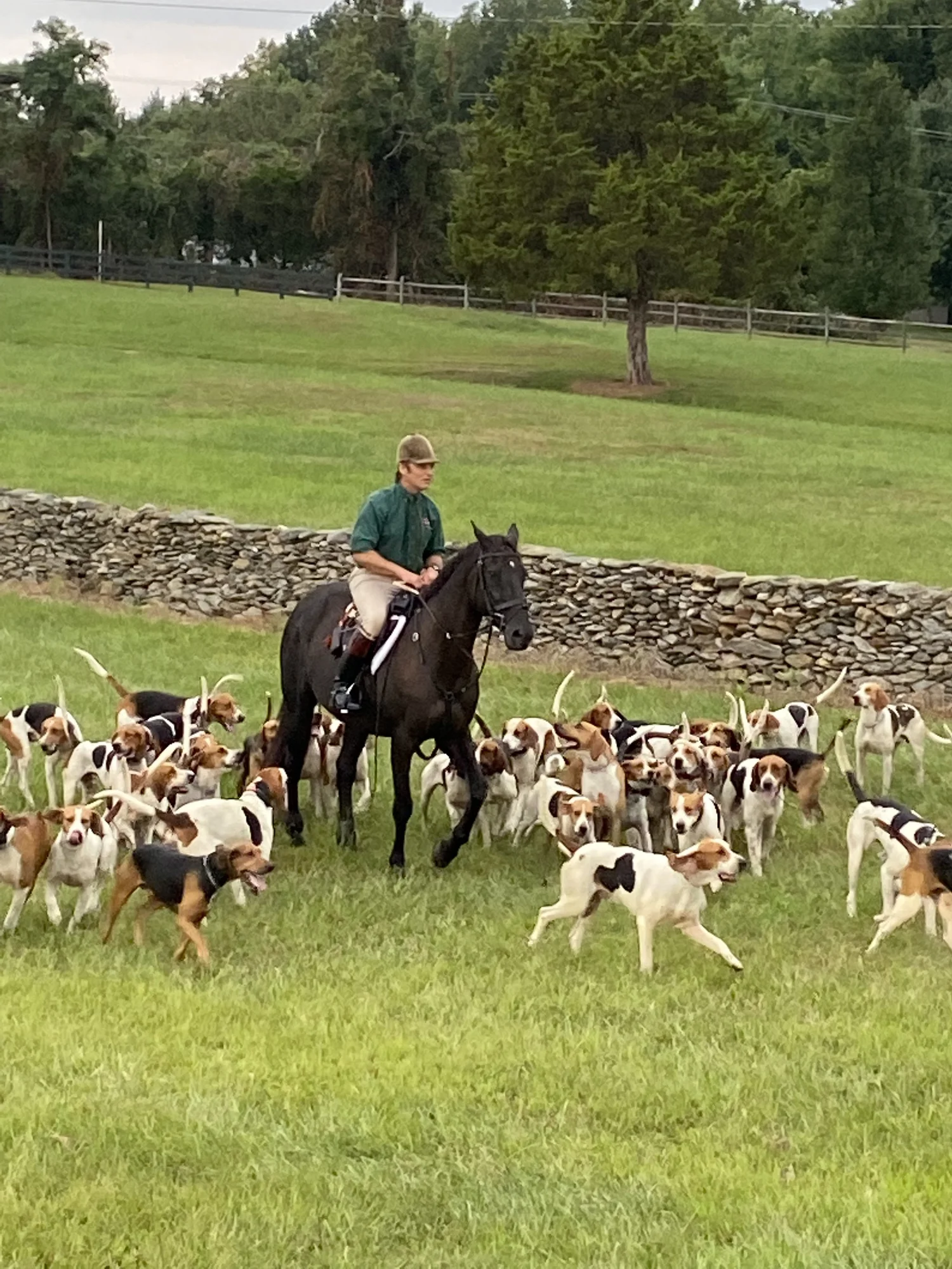 Gallery 3 — The Middleburg Hunt