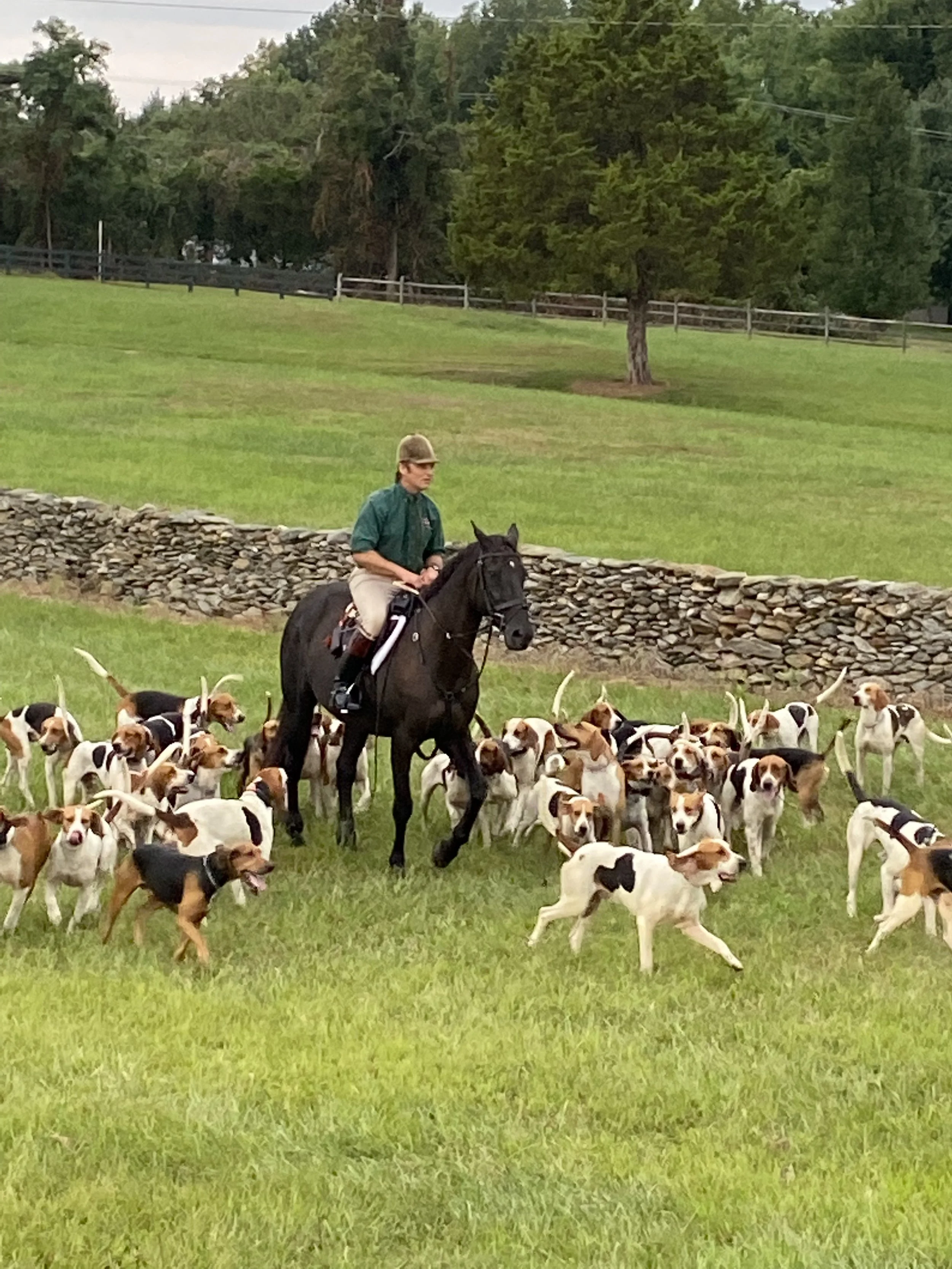 Gallery 3 — The Middleburg Hunt