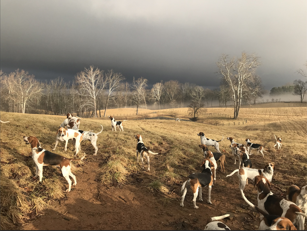 Directions | Find Your Way — The Middleburg Hunt
