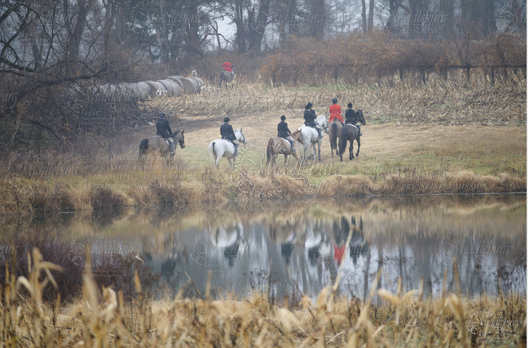 Picture Gallery — The Middleburg Hunt