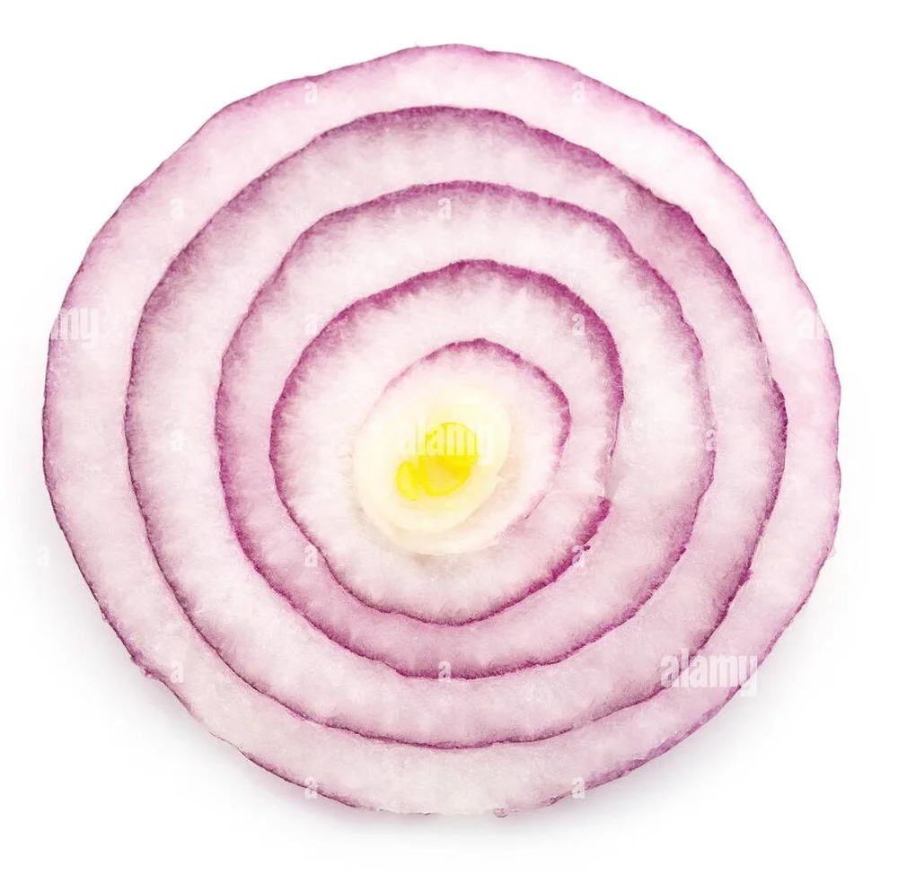 Find Bliss with Yin Yoga and The Koshas — Nancy Nelson