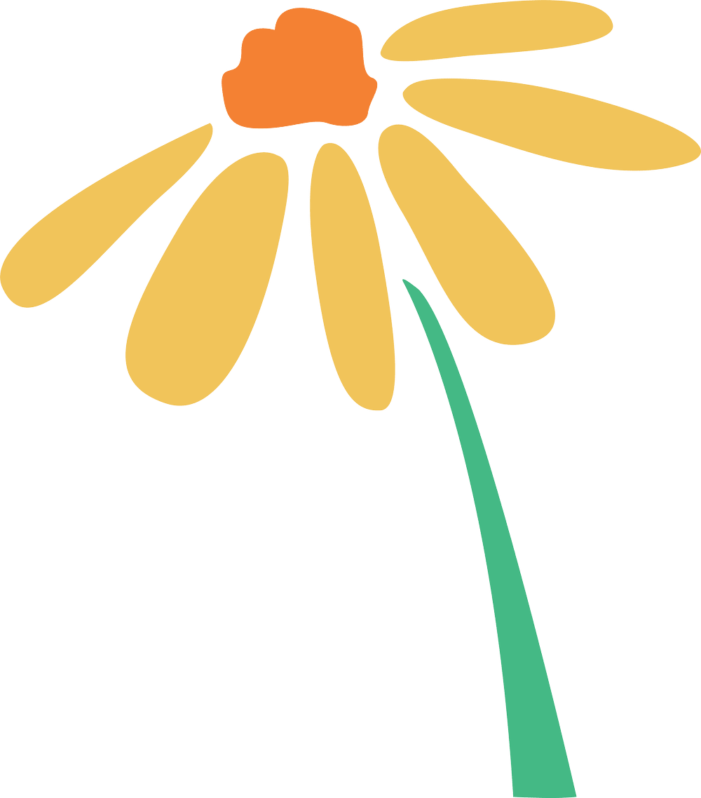 Root To Bloom: Pregnancy, Postpartum, and Pediatric Pelvic Health
