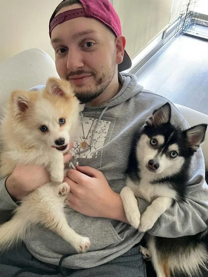 About Our Expert Breeders | Calimex Pomskies