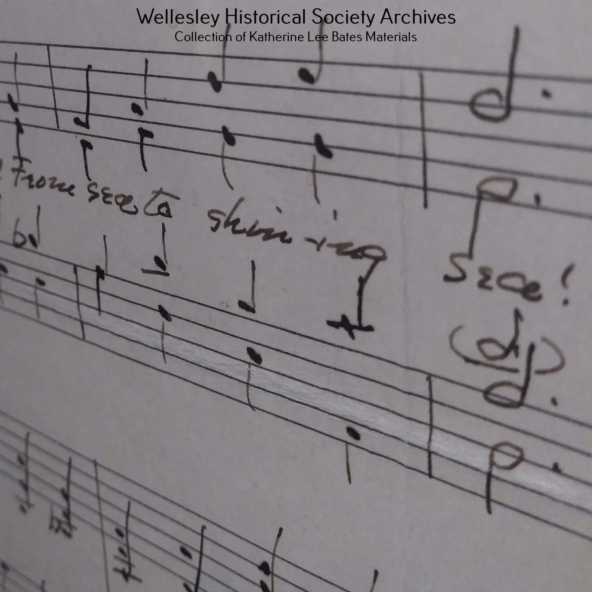 Individual & Family Archives — Wellesley Historical Society