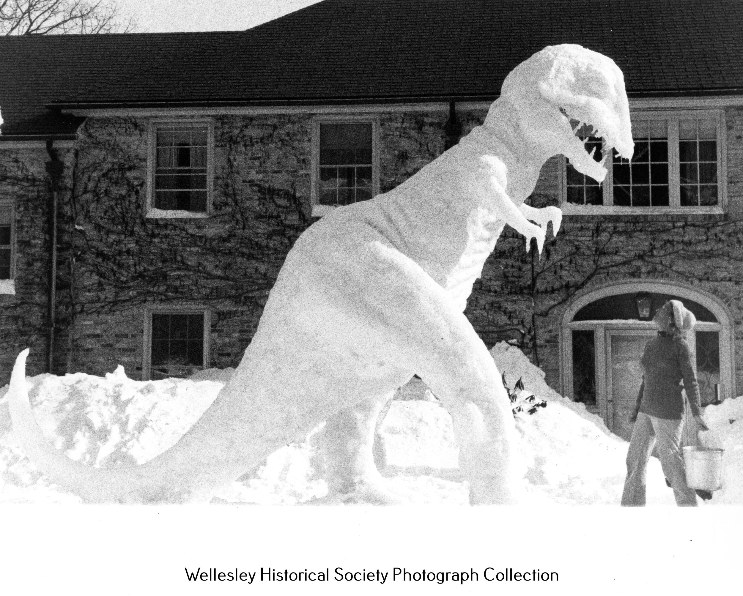 History Mysteries — Wellesley Historical Society
