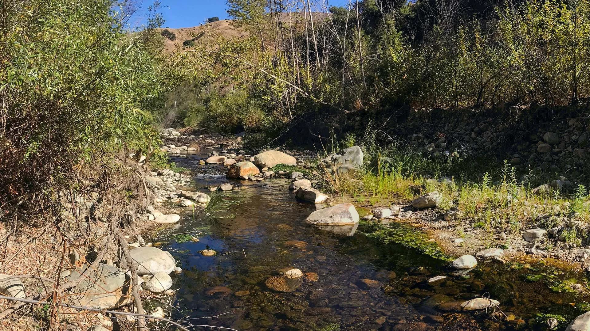 Prioritized Restoration Projects — Southern Steelhead Coalition