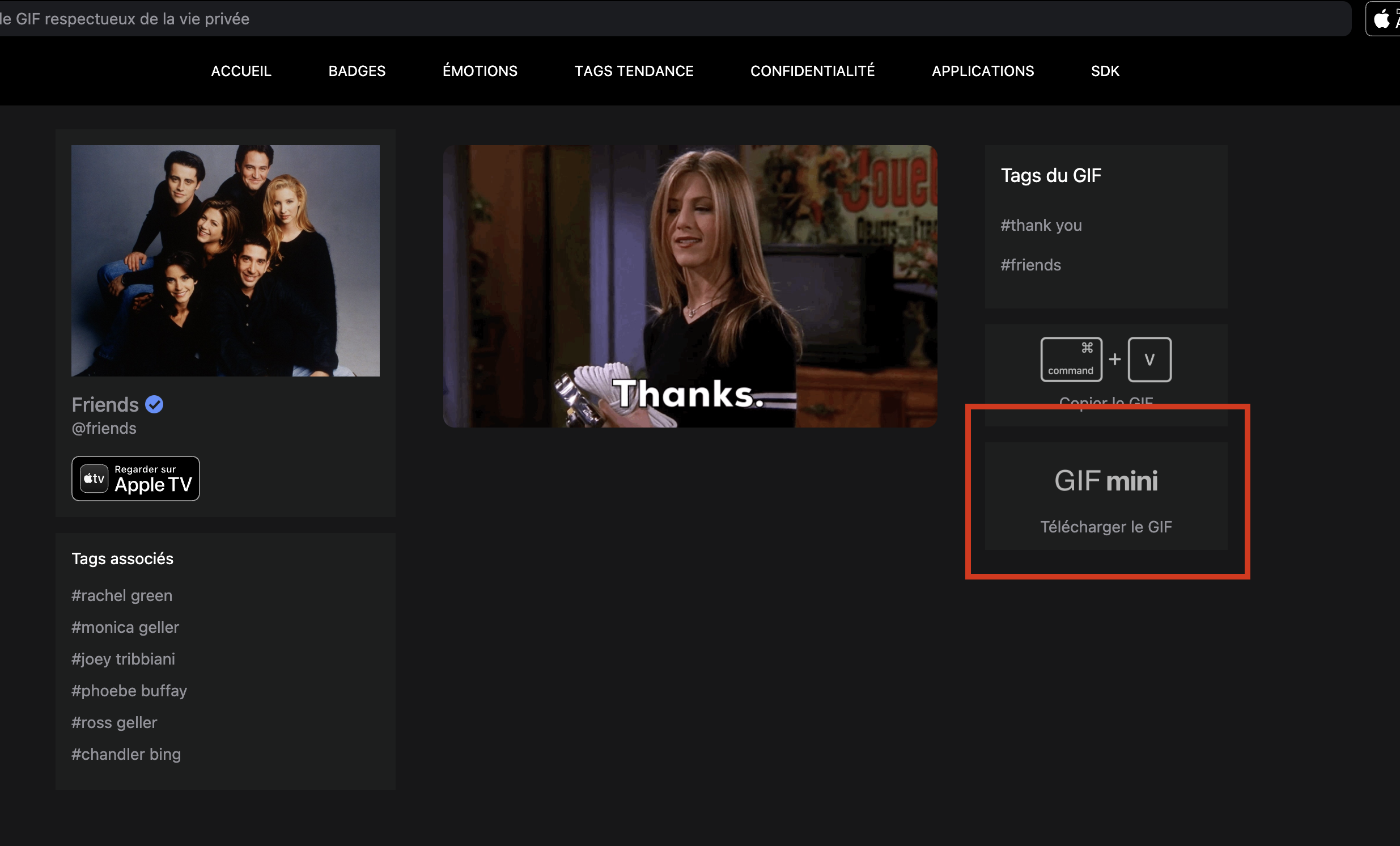 Comment Ajouter un GIF sur ton SiteWeb — Rachel Blouin Designer Web