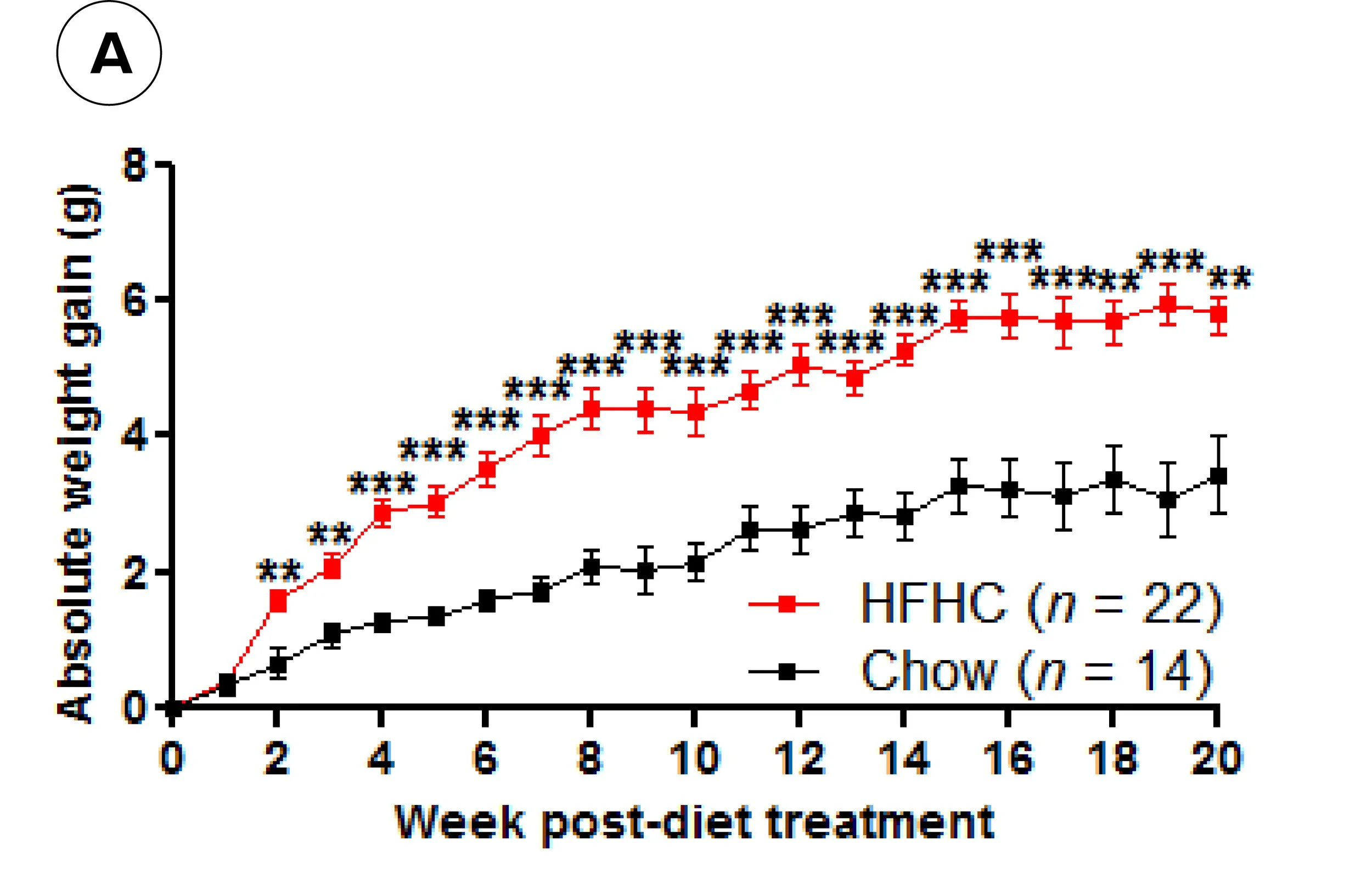 Non-Alcoholic Steatohepatitis (NASH) | Explore NASH Solutions Today ...