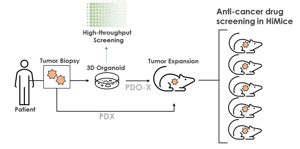 Oncology | Advance your therapeutic in oncology today—Learn More — Invivocue | Leading expert in ...