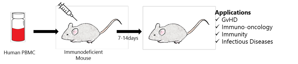 PBMC Humanized Mice | Advance ARDS Research Today — Invivocue | Leading ...