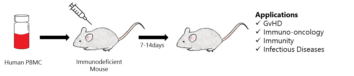 PBMC Humanized Mice | Advance ARDS Research Today — Invivocue | Leading expert in humanized ...