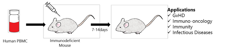 PBMC Humanized Mice | Advance ARDS Research Today — Invivocue | Leading ...