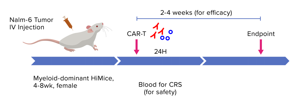Cytokine Release Syndrome | Explore CRS Solutions – Learn More ...