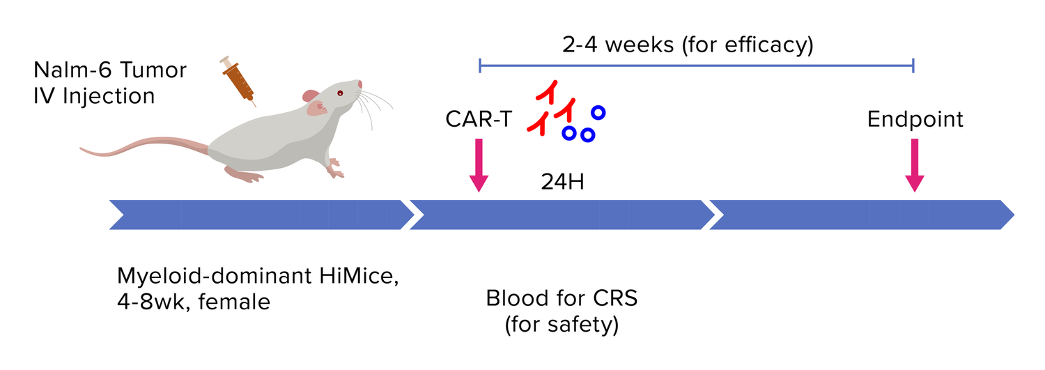 Cytokine Release Syndrome | Explore CRS Solutions – Learn More ...
