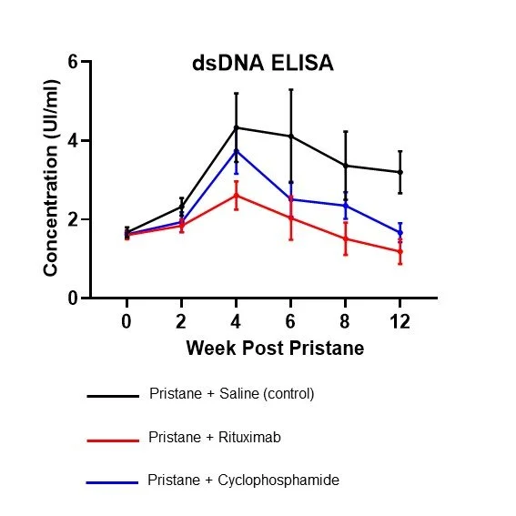 Systemic Lupus Erythematosus (SLE) — Invivocue | Leading expert in ...
