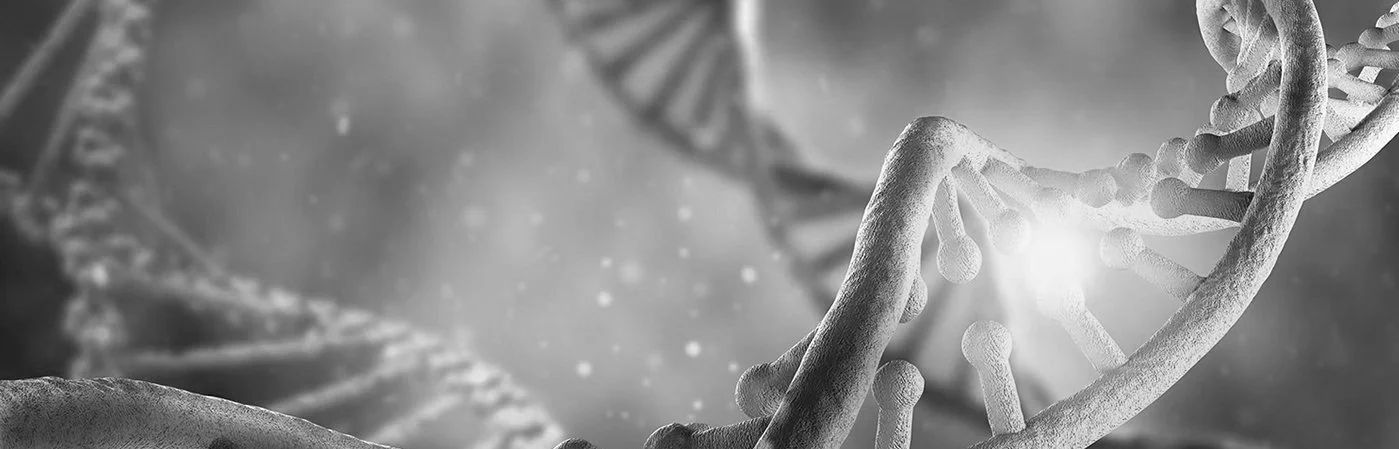 PBMC Humanized Mice — Invivocue | Leading expert in humanized ...