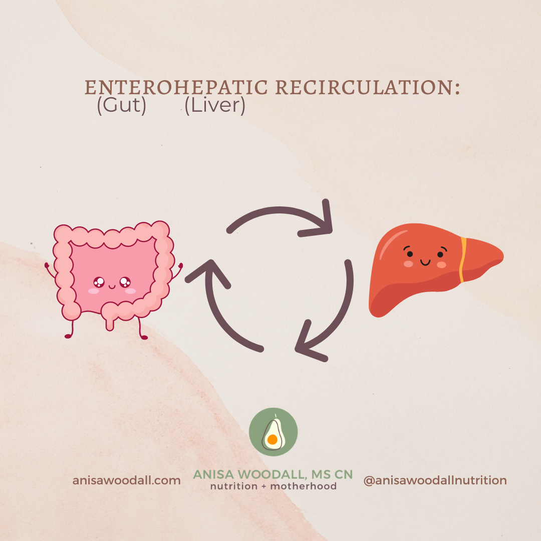What is Estrogen Dominance and why it may be keeping you from getting ...
