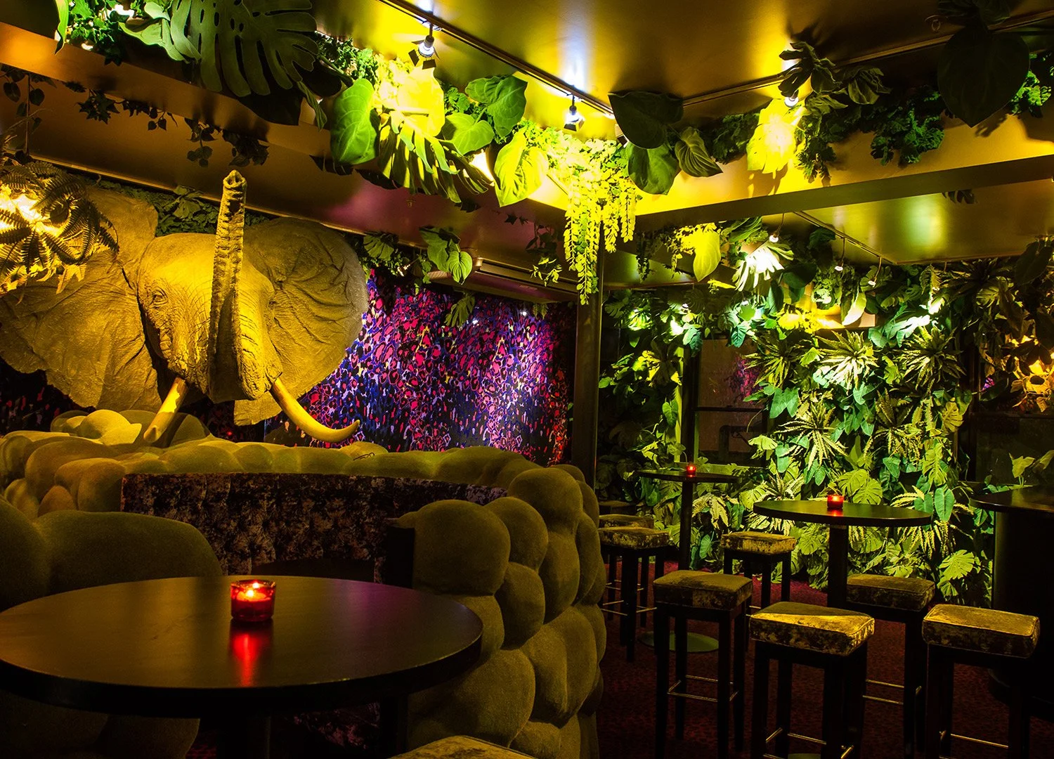 The Carlton | Restaurant | Cocktail Bar | Nightclub | Melbourne