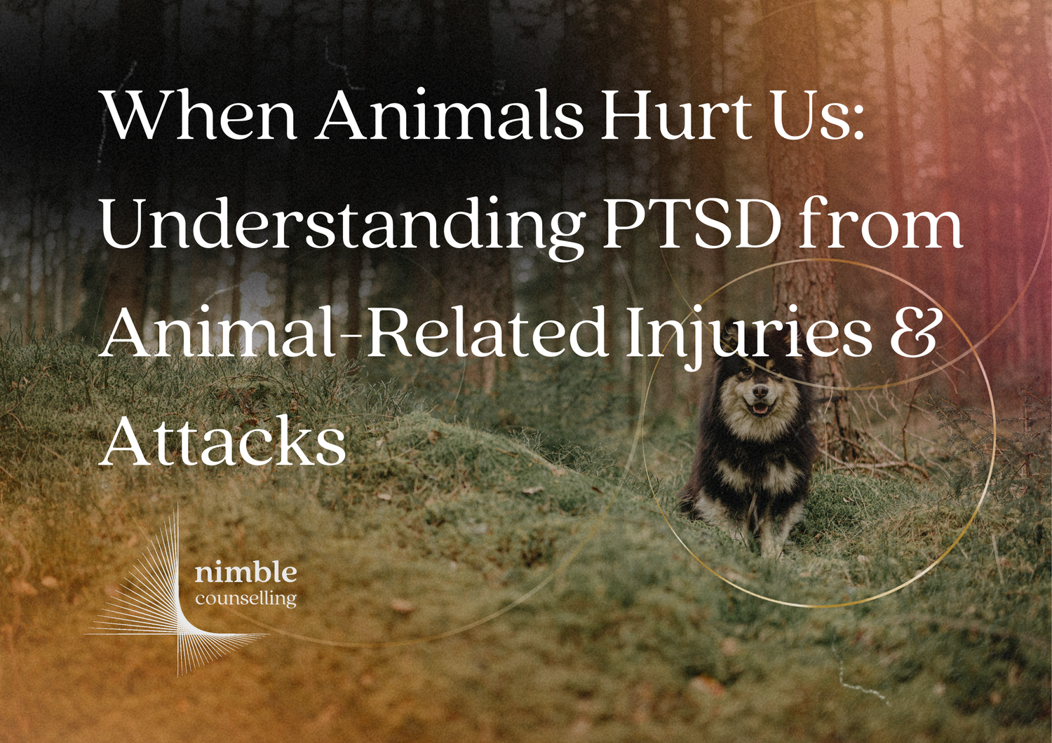 When Animals Hurt us: Understanding PTSD from Animal-Related Injuries ...