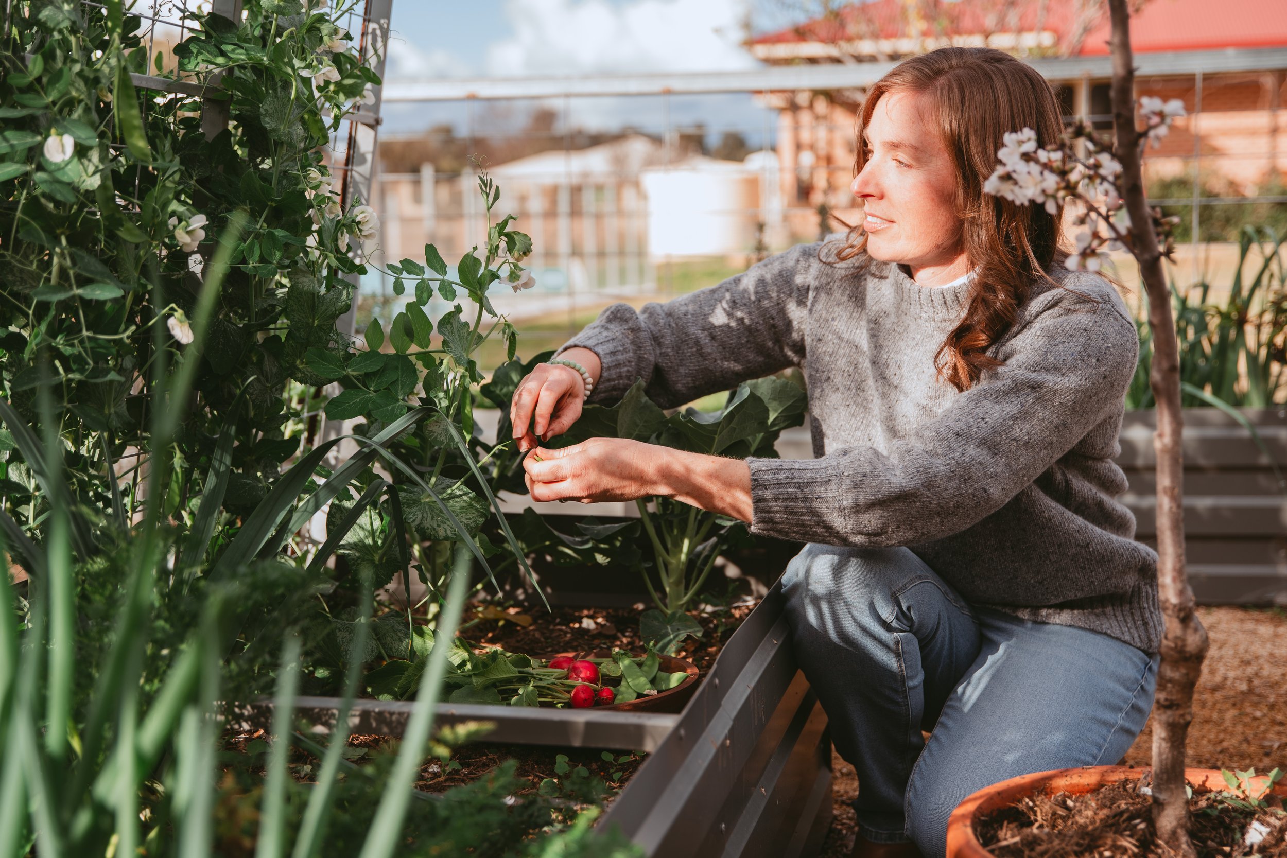 About — Herb and Spice Naturopathy Narrabri