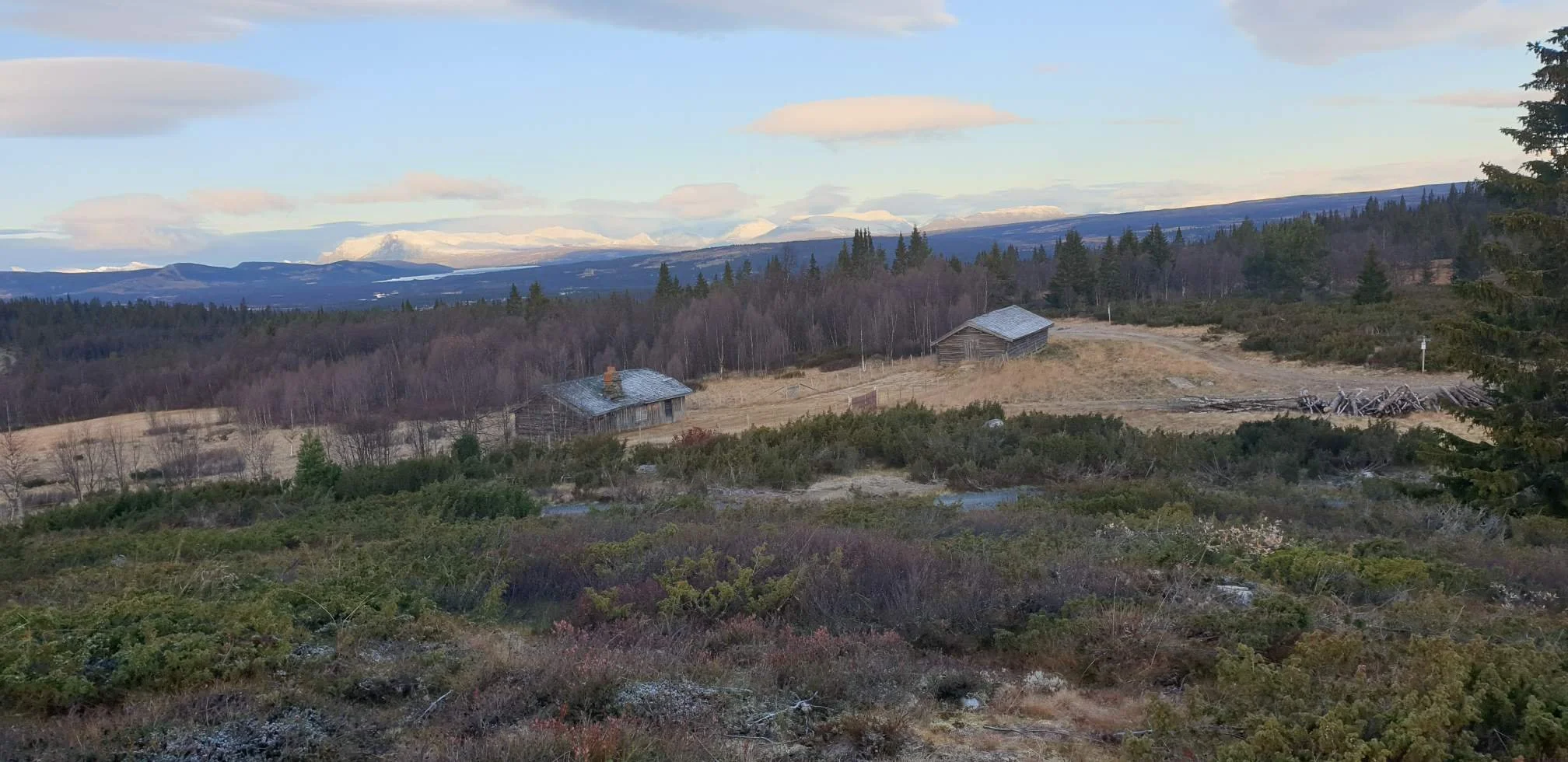 Dreiebok dag 1 — Valhall Fjellprøve og Utstilling