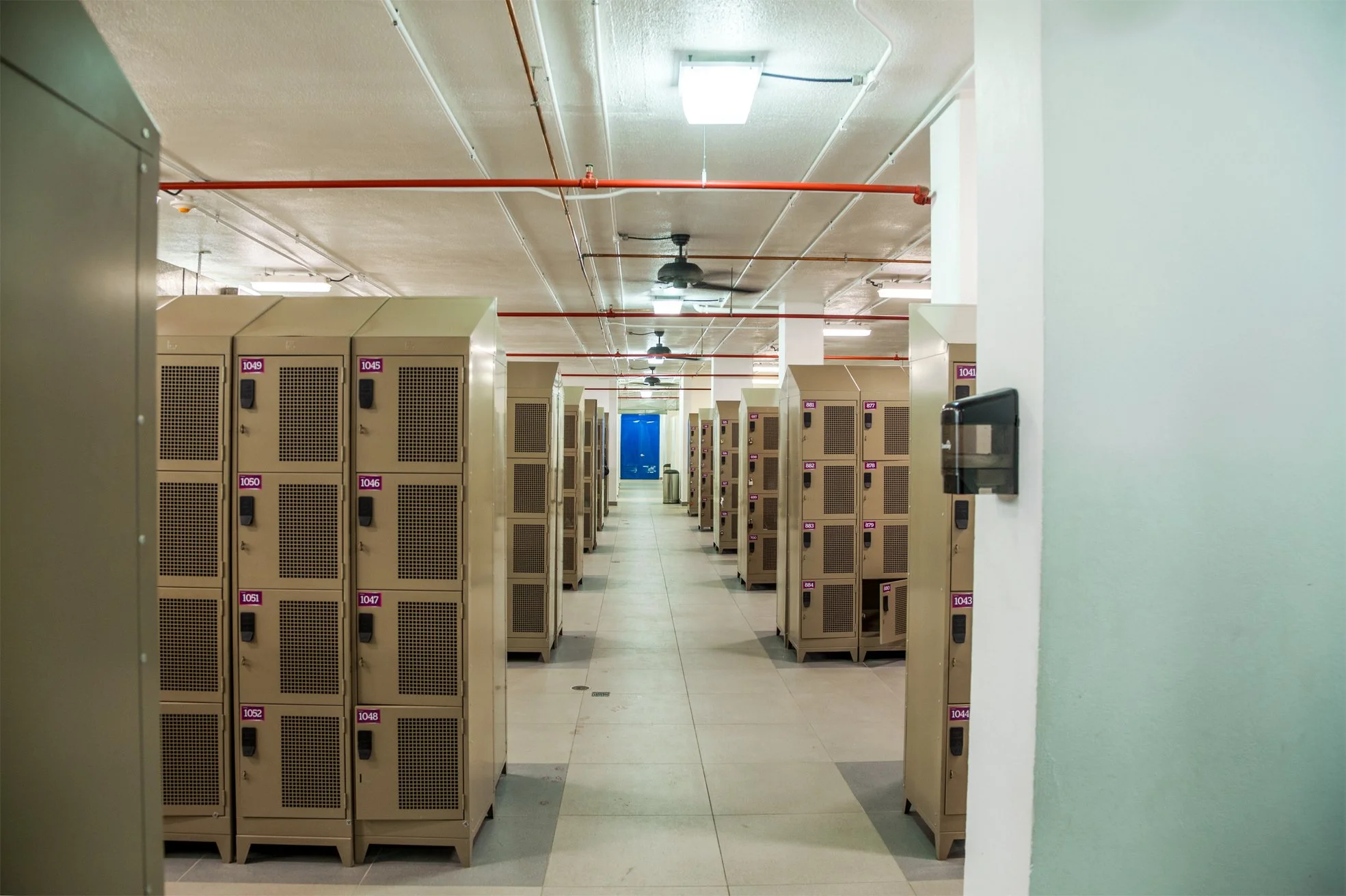 Comedor y Vestidores Gamesa Mty — ColectivoMx