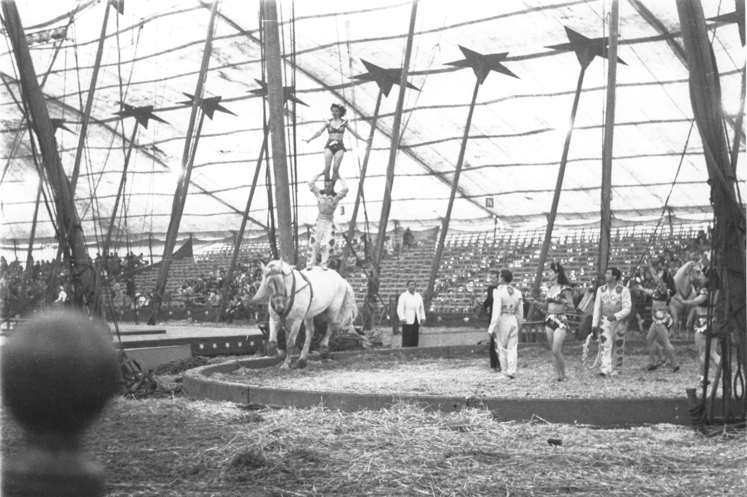 Trot Under the Big Top: How Horses Helped Sarasota Become the Circus ...