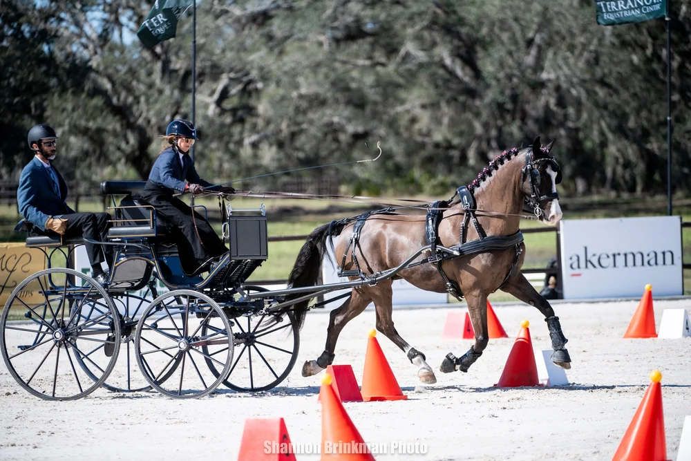 TerraNova Equestrian Center
