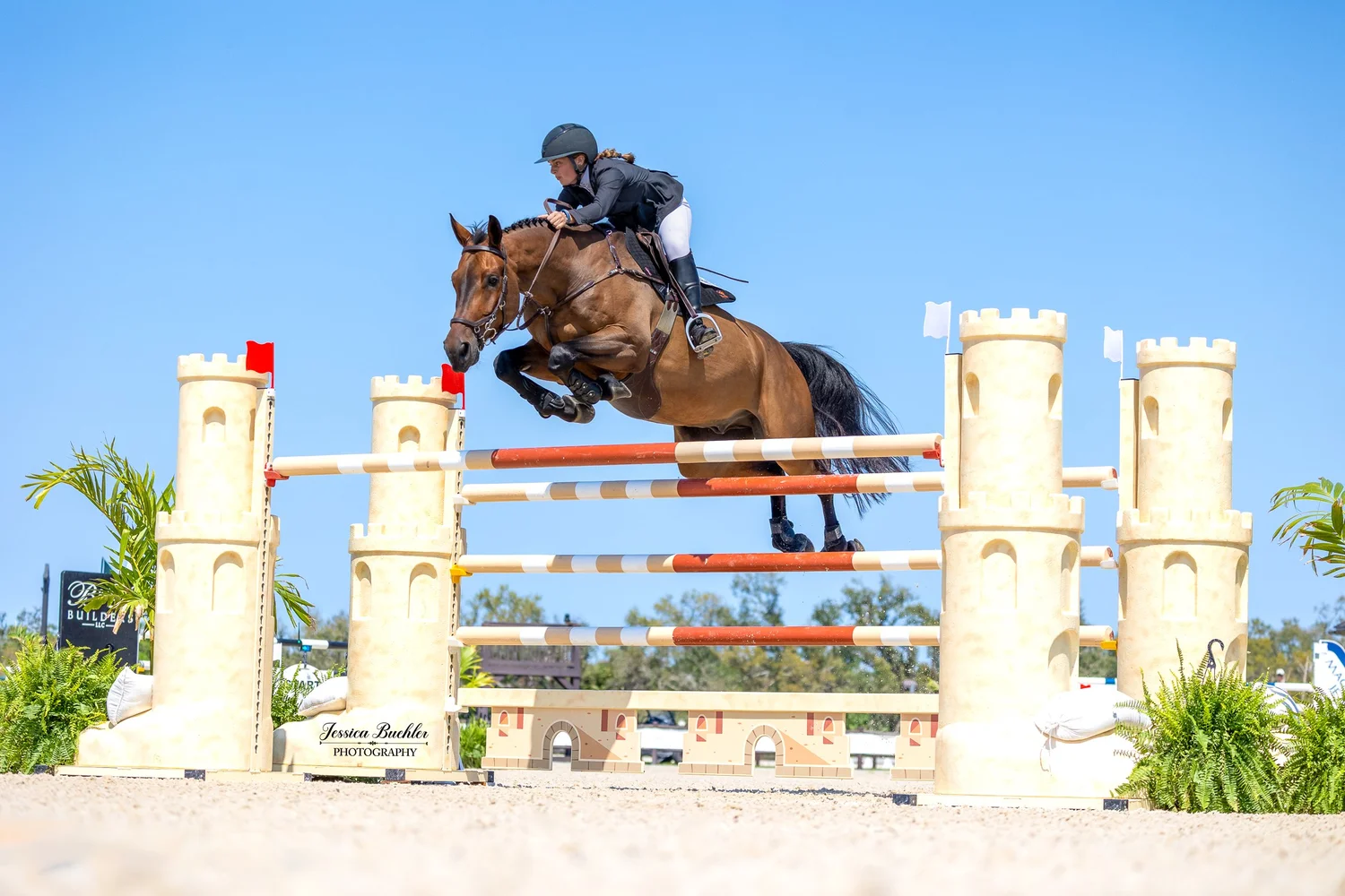 TerraNova Equestrian Center